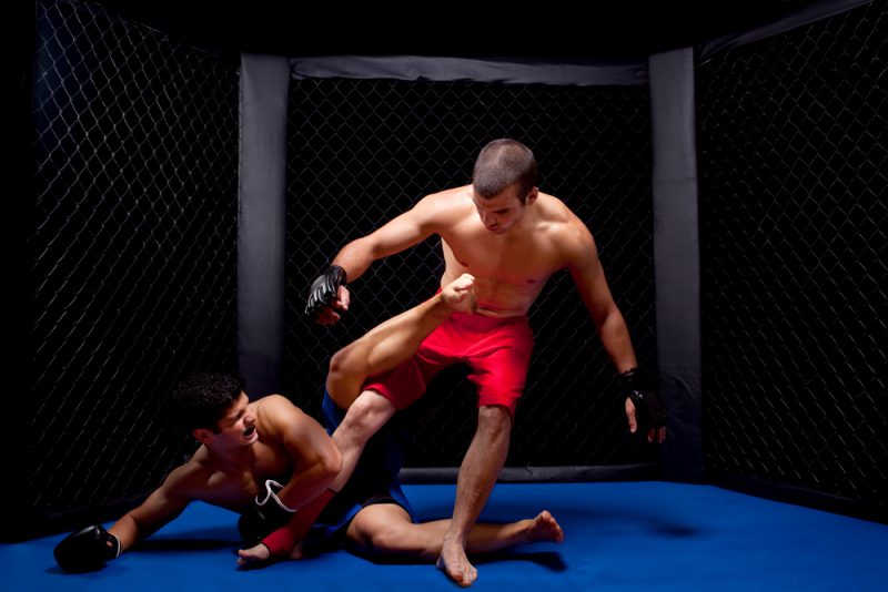 Common Injuries in Mixed Martial Arts and Physiotherapy Treatment